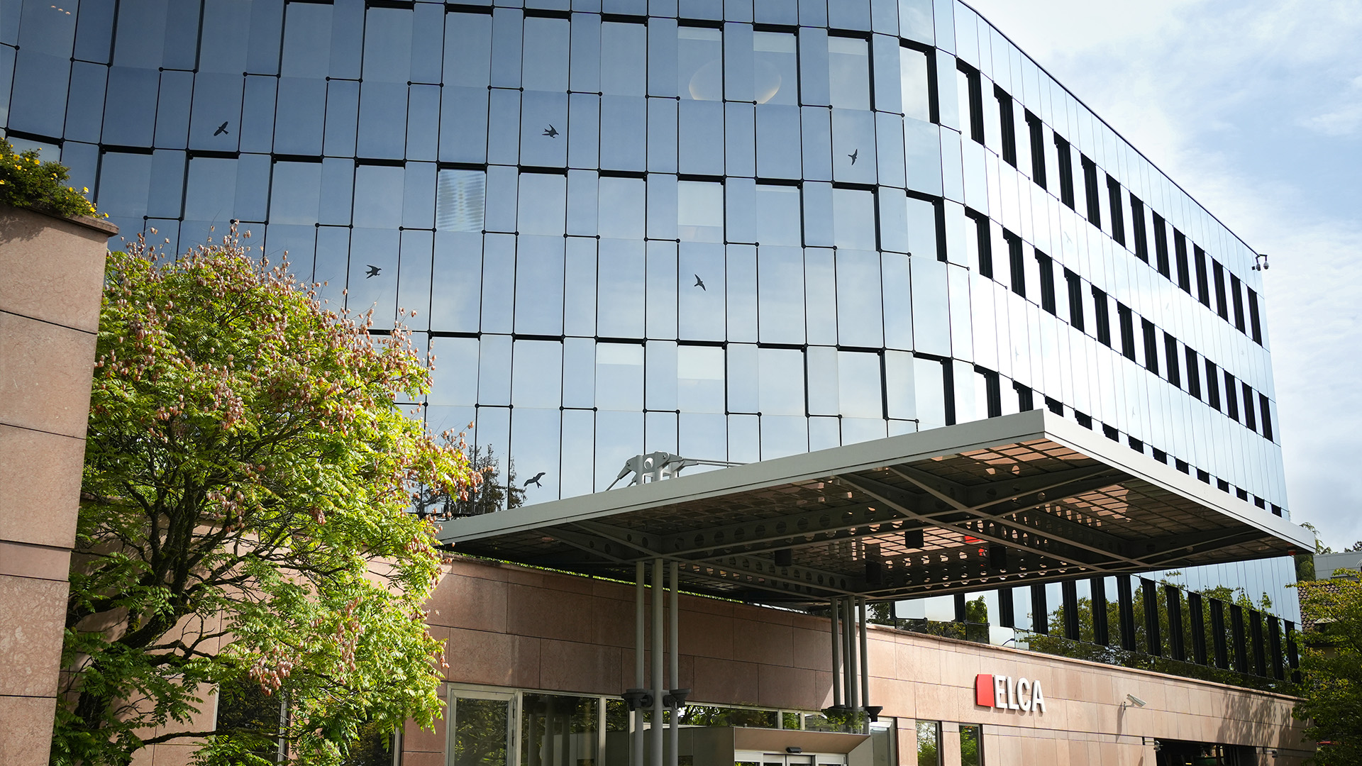 Annual Results 2024 | ELCA